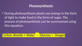 Endothermic and Exothermic Reactions.pptx