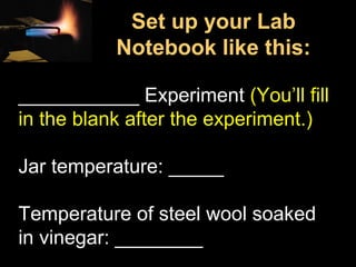 Endo and exo rections experiments | PPT