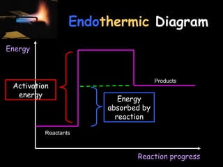 Endo and exo rections experiments 14/15 | PPT