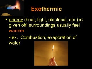 Endo and exo rections experiments 14/15 | PPT
