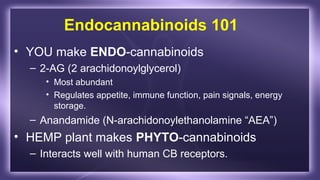 Endocannabinoid System - Literature Review | PPT