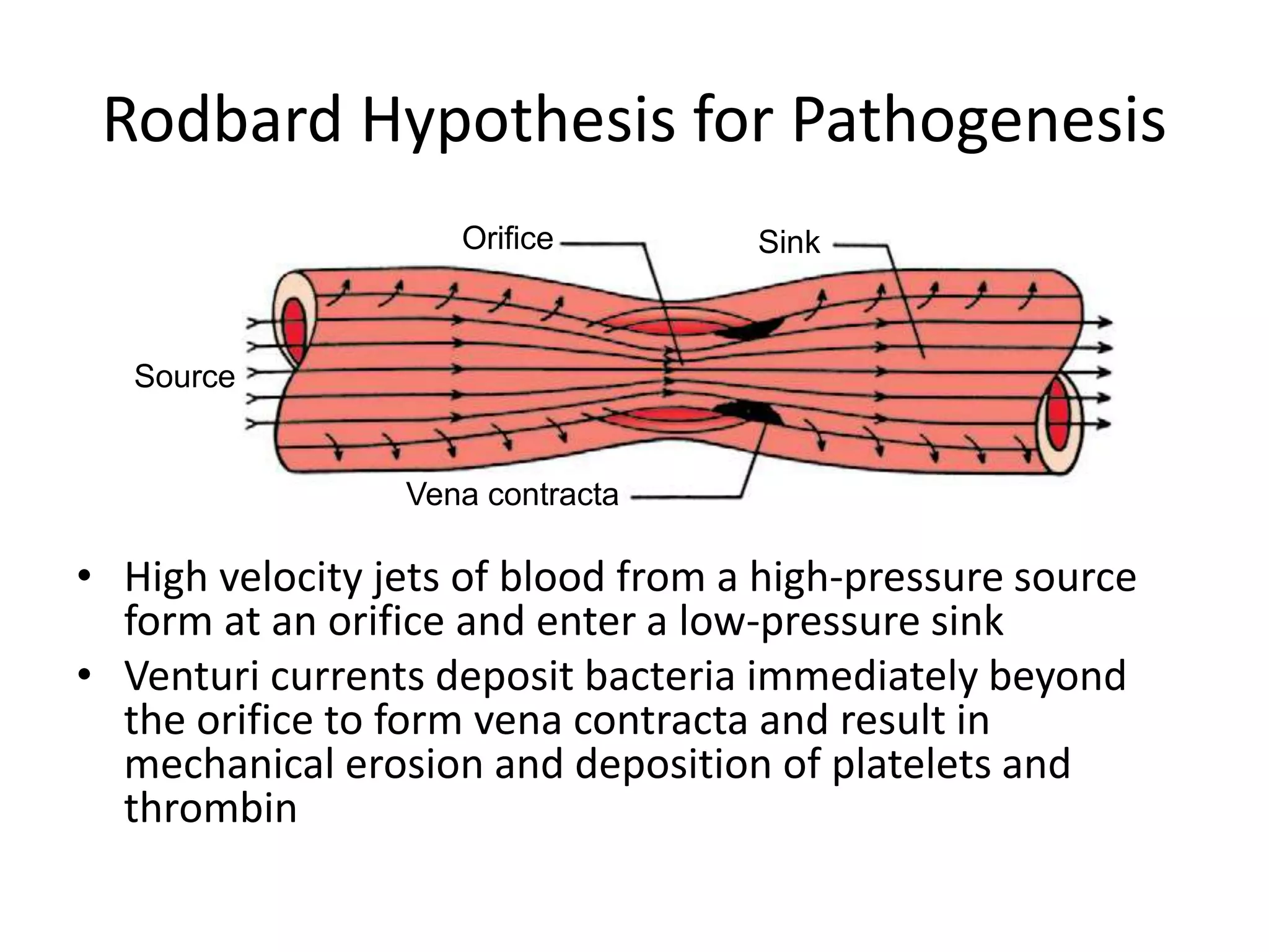 Infective Endocarditis and It's Surgical Management | PPTX