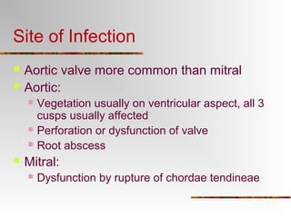 Endocarditis | PPT