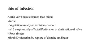 Endocarditis | PPTX