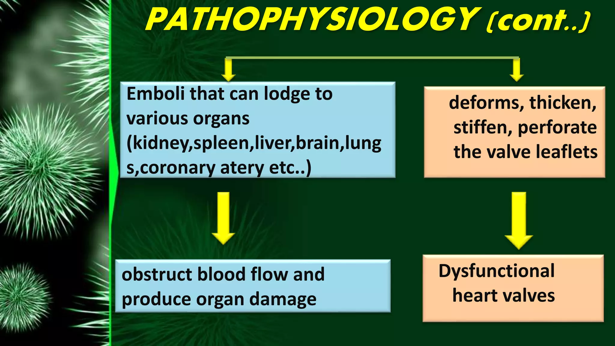 Endocarditis | PPTX