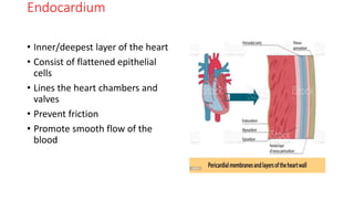 ENDOCARDITIS.pptx | Heart and Cardiovascular Diseases | Diseases and ...