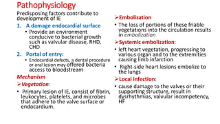 ENDOCARDITIS.pptx