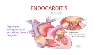 Endocarditis: Inflammation of the Inner Heart Lining | PPT