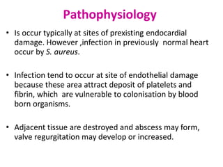 Infective Endocarditis (IE) Lecture pptx | PPTX