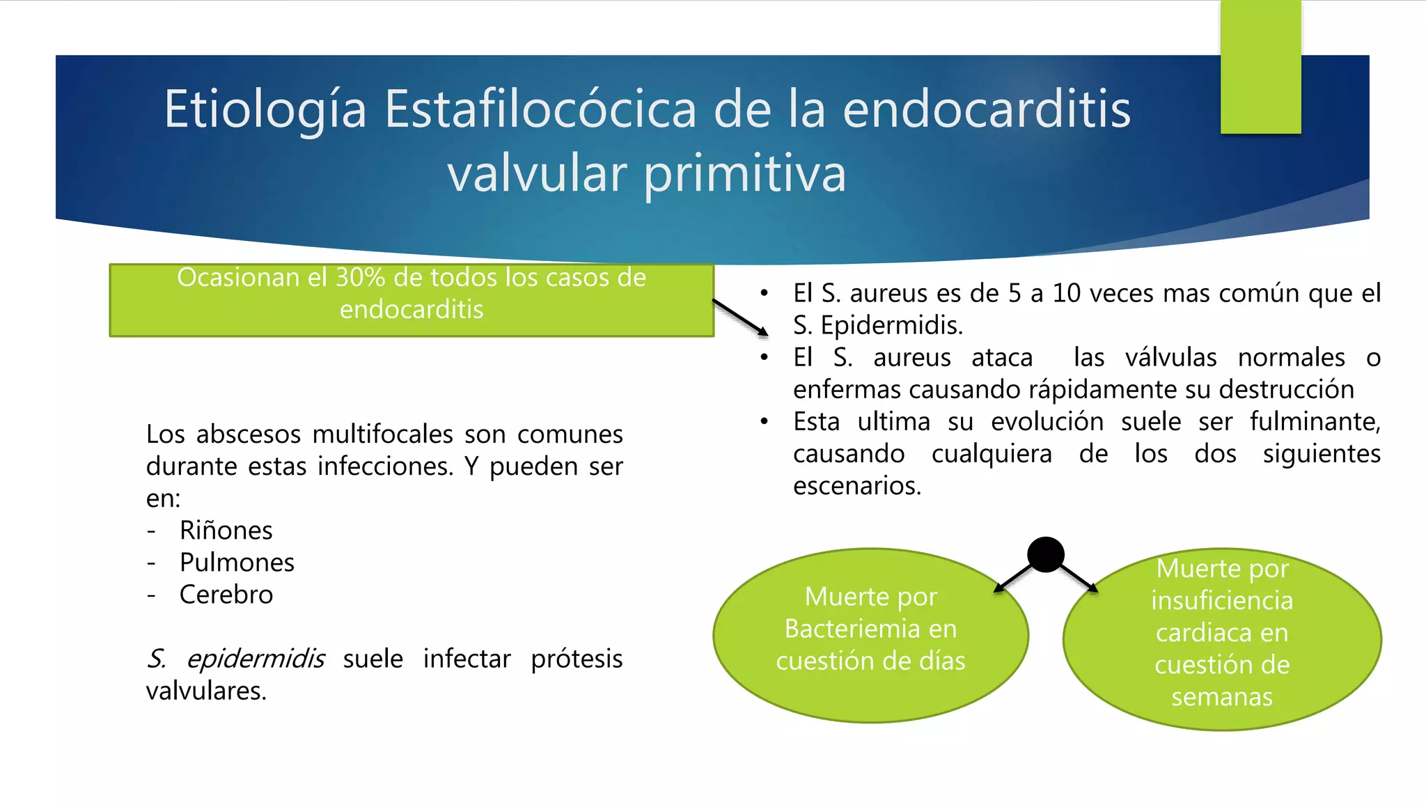 Endocarditis bacteriana | PPT