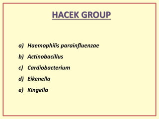 Endocarditis by maha | PPTX