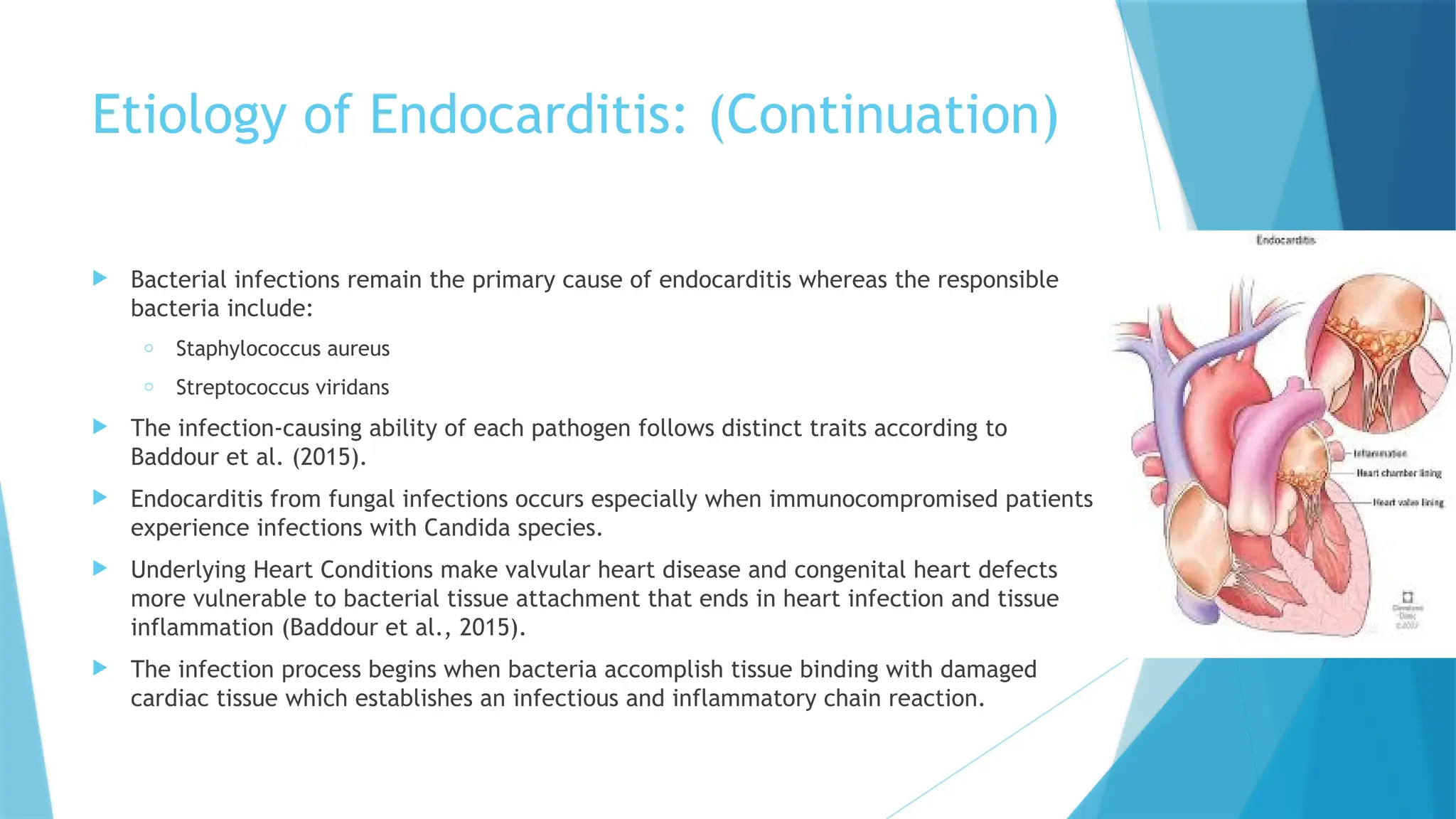 ENDOCARDITIS. presentation power point pptx | PPT