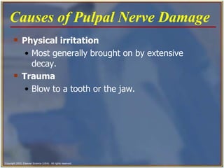Endodontics Chapter 54 | PPT