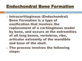 Endochondral bone formation | PPTX