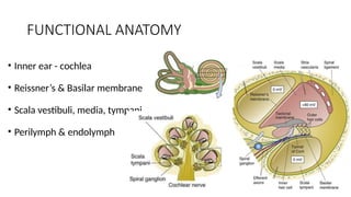 ENDOCOCHLEAR POTENTIAL AND ELECTROPHYSIOLOGY OF HEARING | PPTX