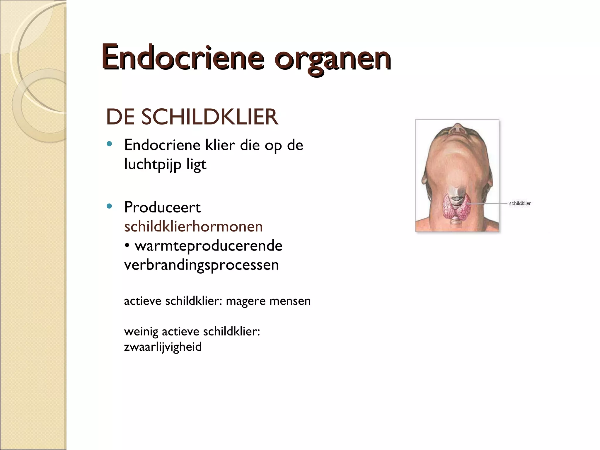 Endocrienstelsel C Bosman 1 Ba T Pao | PPT | Endocrine and Metabolic ...