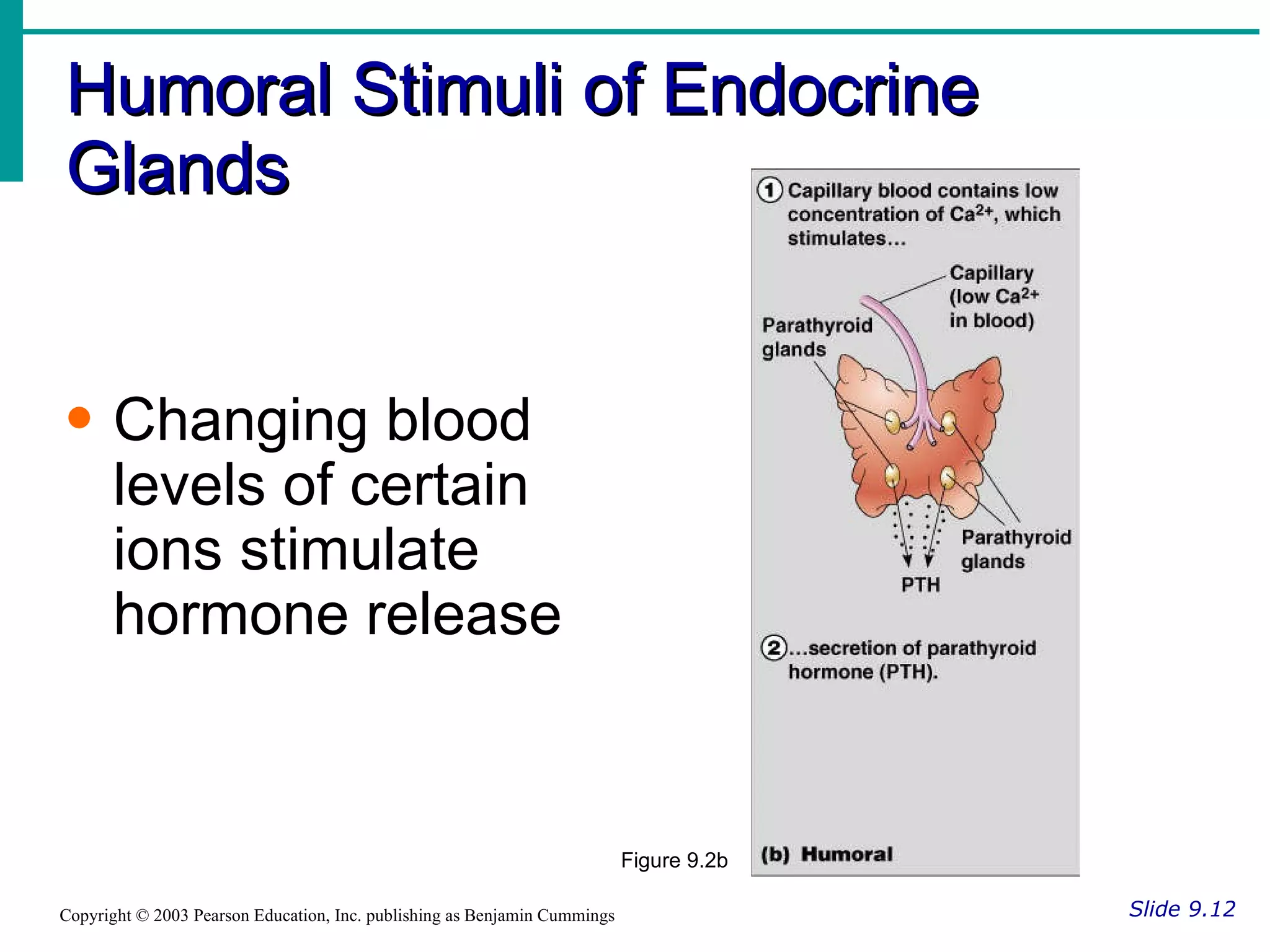 Endocrine | PPT