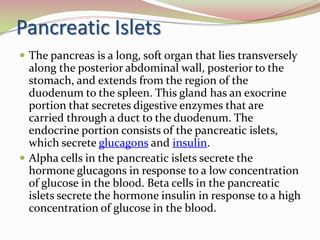 Endocrine System | PPTX