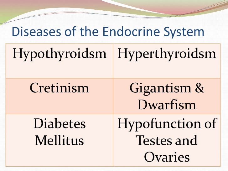 Types Of Endocrine System Diseases at Elijah Rosa blog