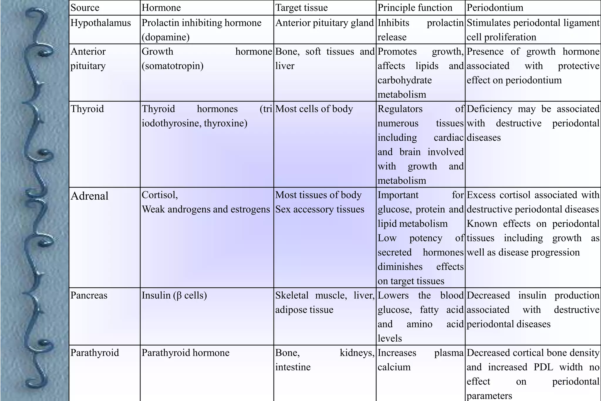 Endocrine influence on periodontium | PPTX