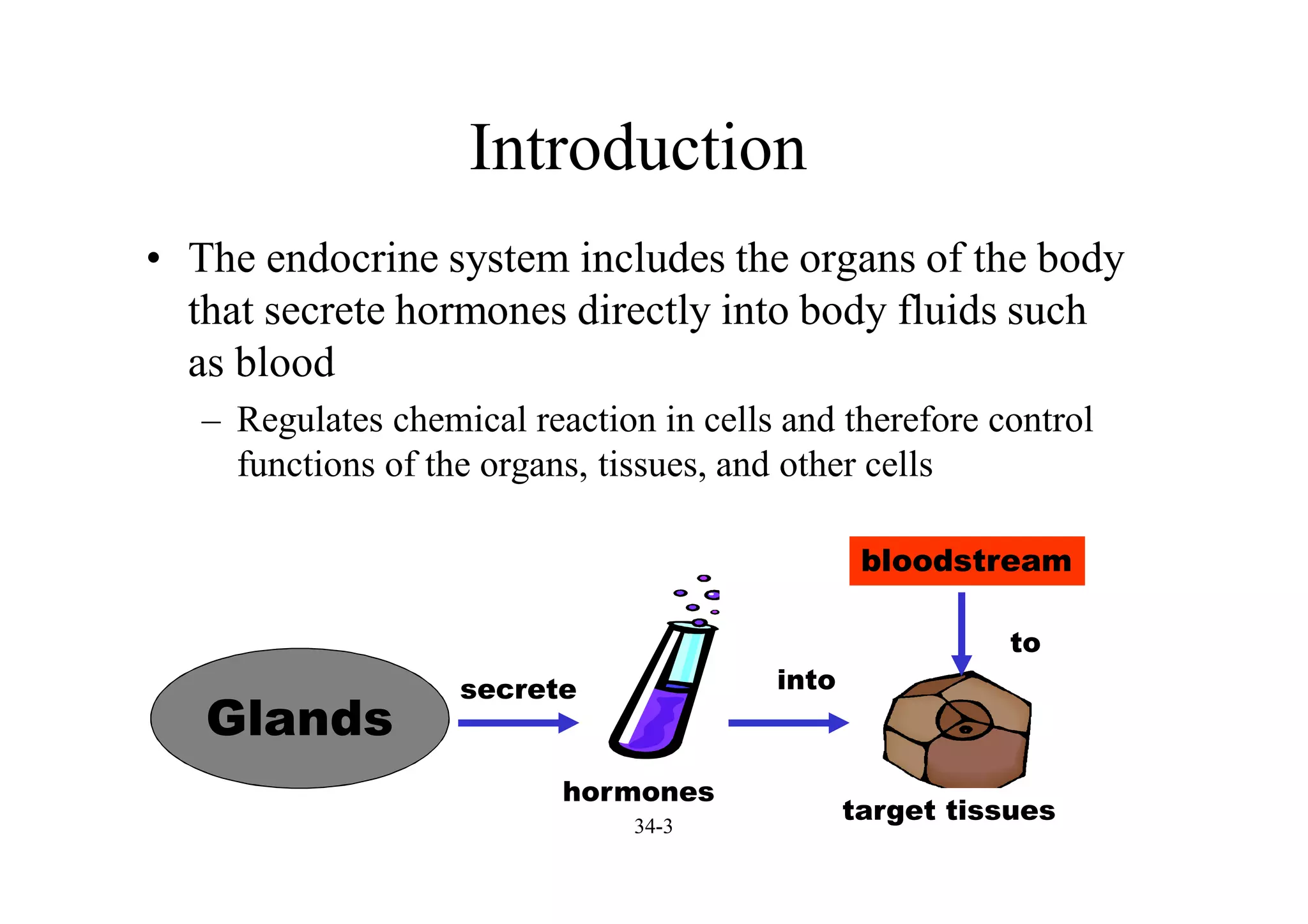 Endocrine | PDF