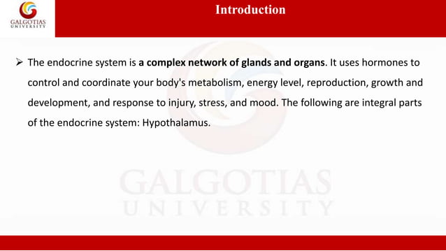 Endocrine Pptx