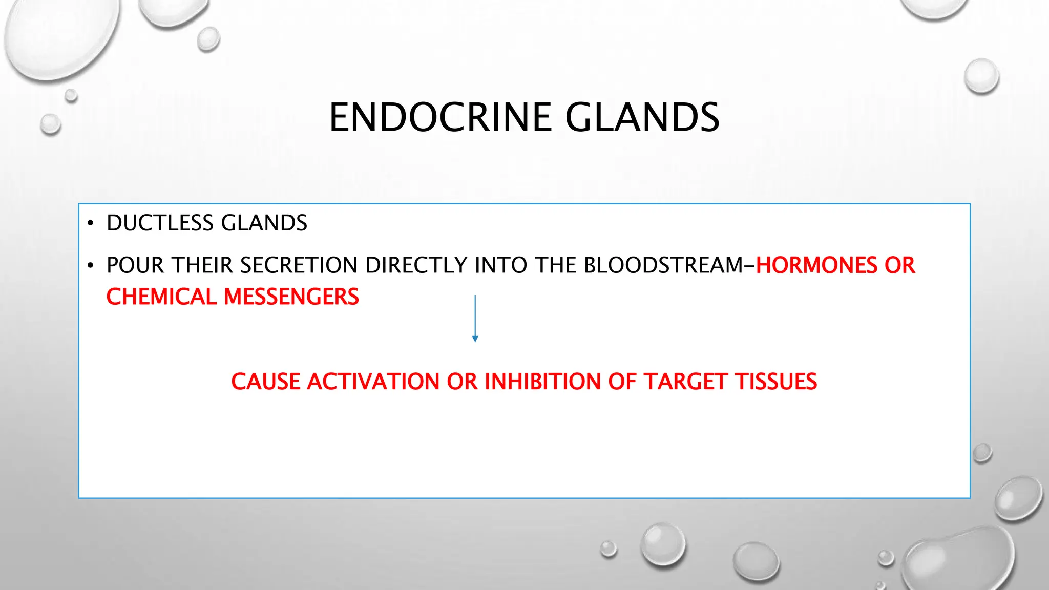 ENDOCRINE anatomy slideshow....................pptx