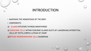 ENDOCRINE anatomy slideshow....................pptx