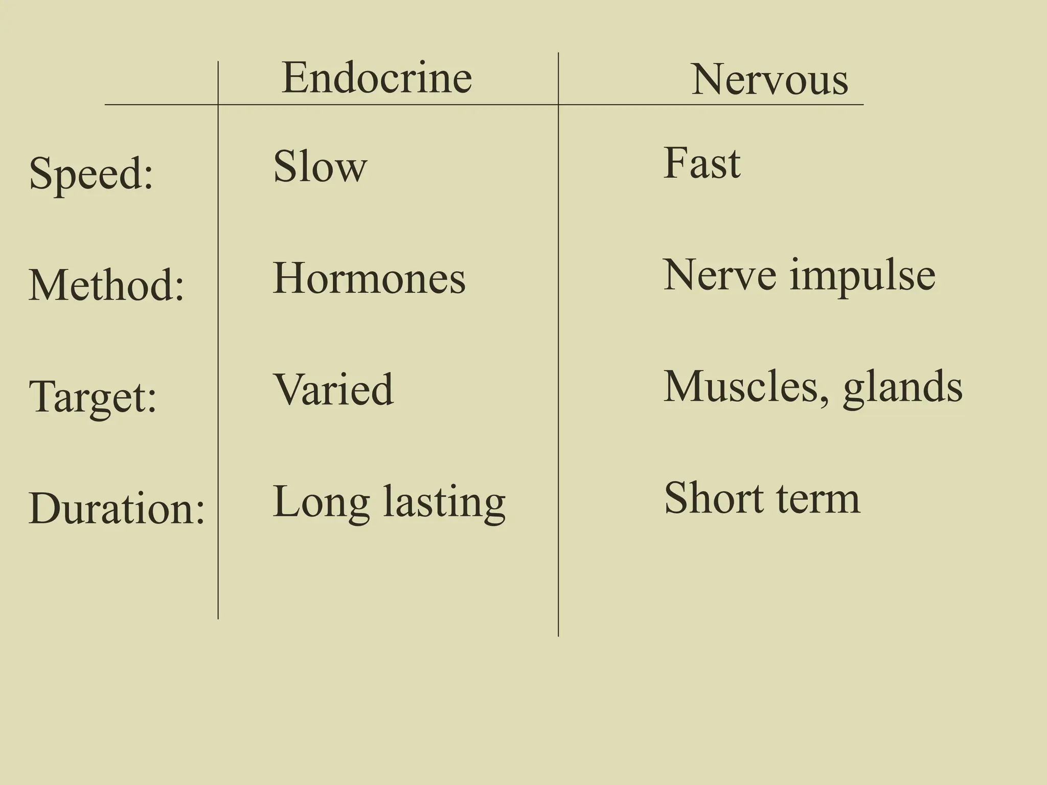 endocrine.system of human body and its importance | PPT | Endocrine and ...