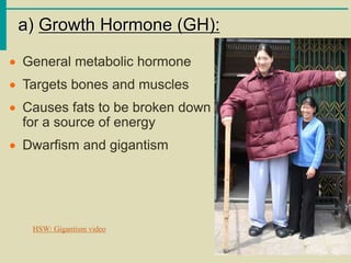 endocrine.system of human body and its importance | PPT