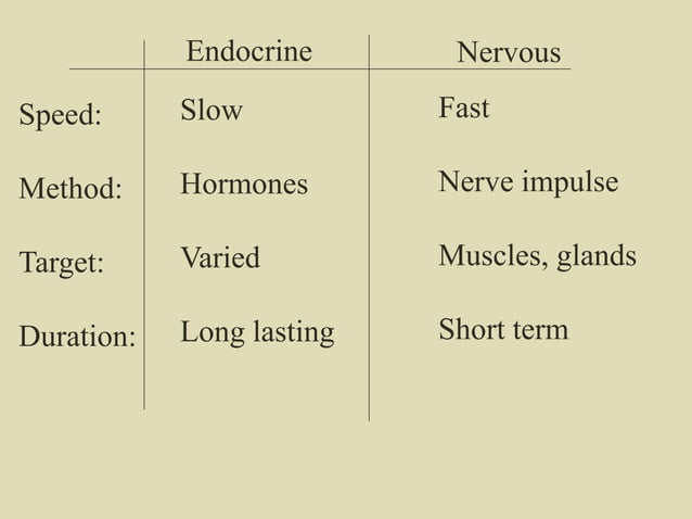 endocrine.system of human body and its importance | PPT | Endocrine and ...