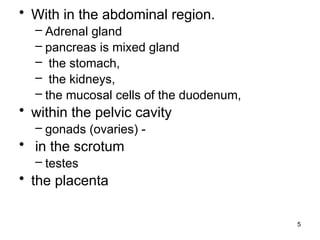 anatomy of the Endocrine system....pptx