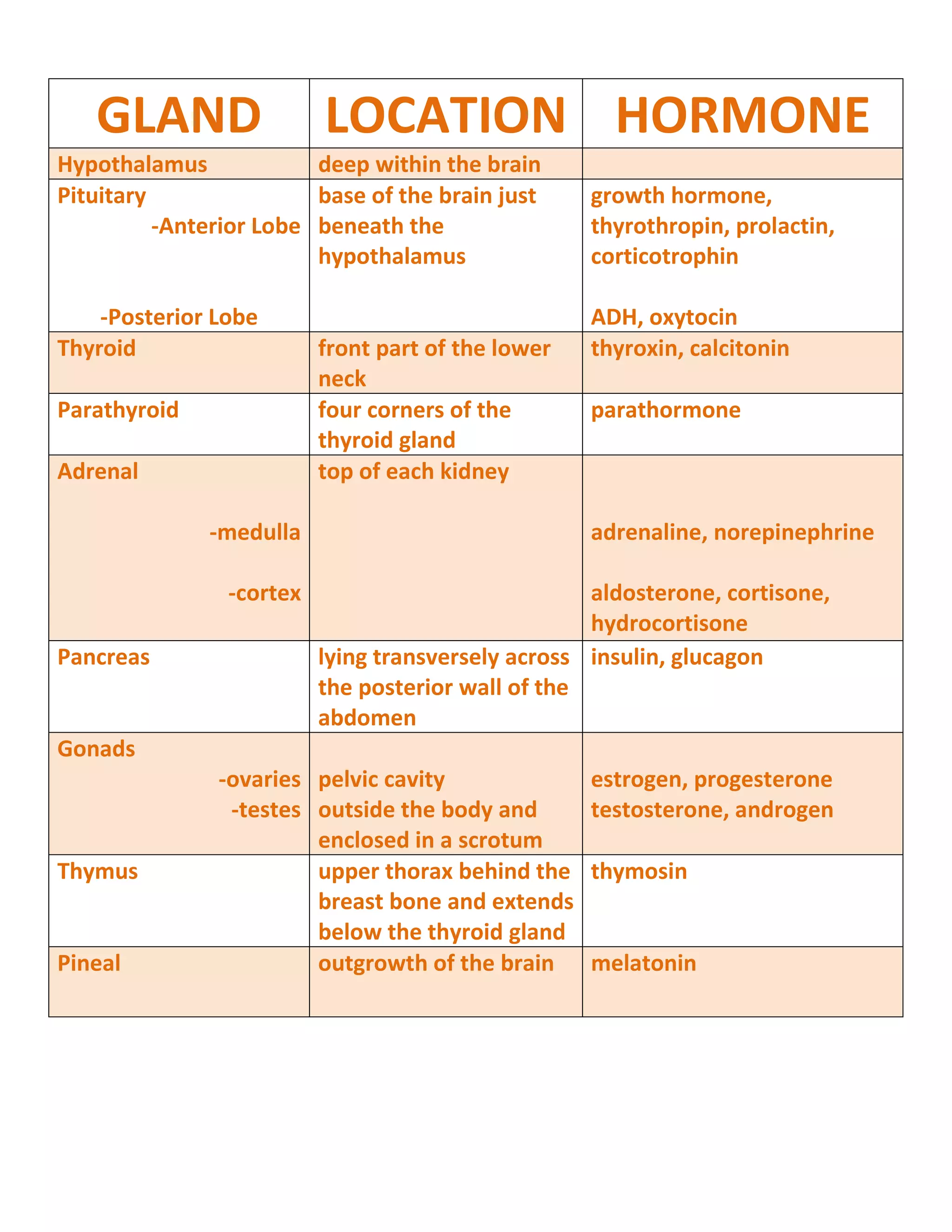 Endocrine Chart | DOCX