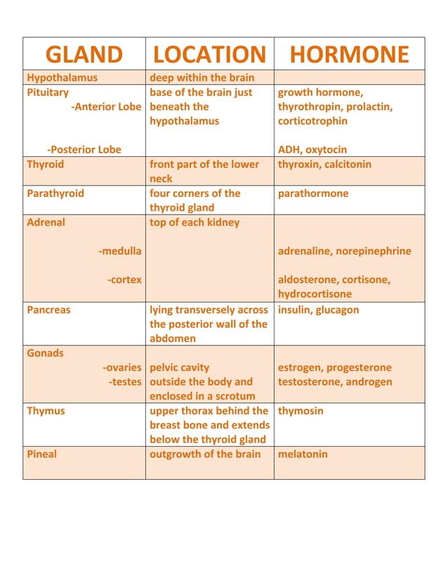 Endocrine Chart | DOCX