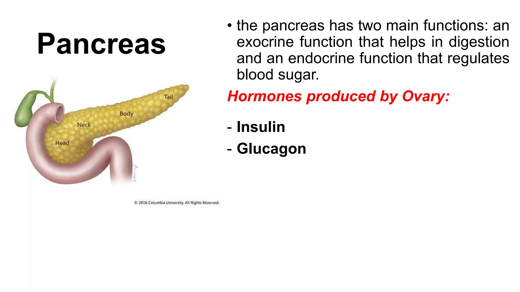 Endocrine DIseases | PPTX