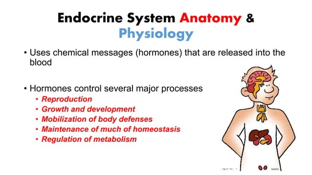 Endocrine DIseases | PPTX