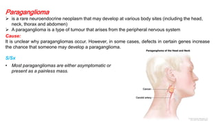 Endocrine DIseases | PPTX