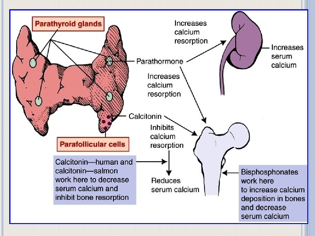 Endocrine Disorders