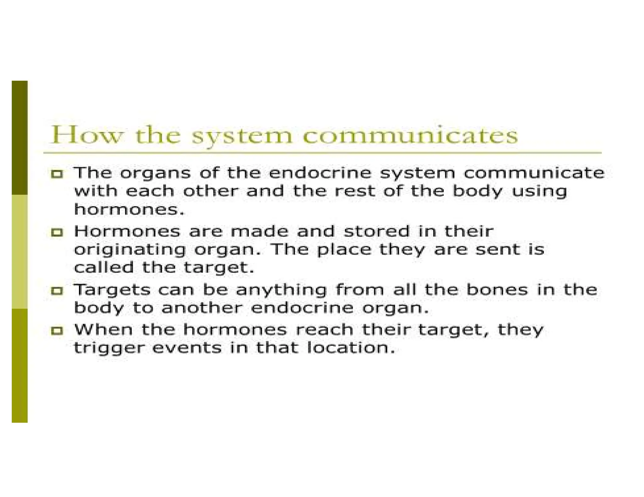 endocrine-glands.pdf anatomy and physiology | PDF