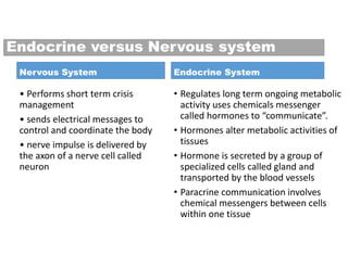 endocrine-glands.pdf anatomy and physiology | PDF