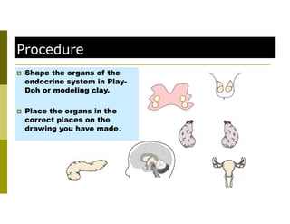 endocrine-glands.pdf anatomy and physiology | PDF