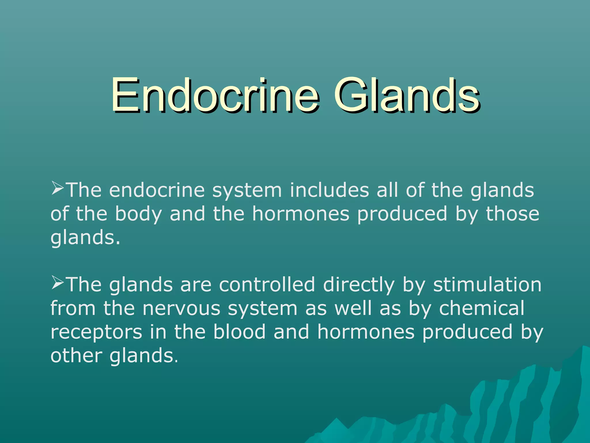 Endocrine glands new | PPT