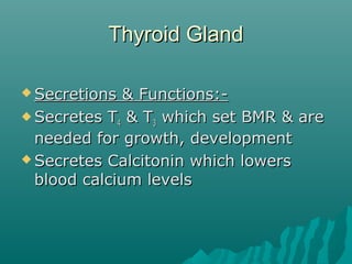 Endocrine glands new | PPT