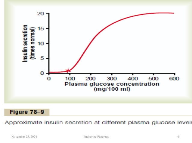 Endocrine-Pancreas.ppt uploaded by pantic miazga | PPT
