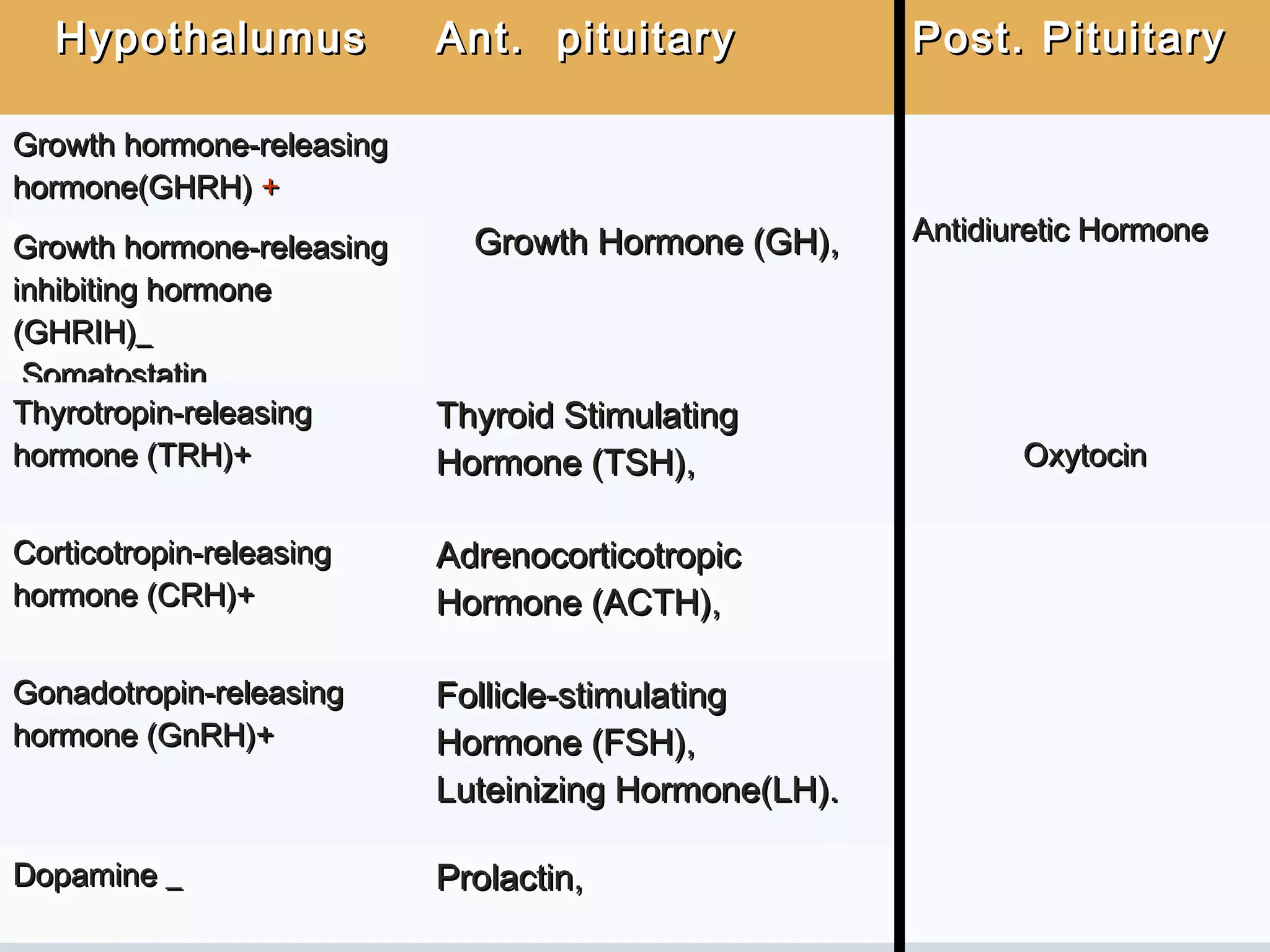 Endocrine pharmacology in Brief | PPT