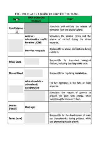 Endocrine system quiz | DOCX