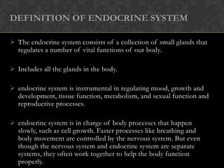 Endocrine System | PPT