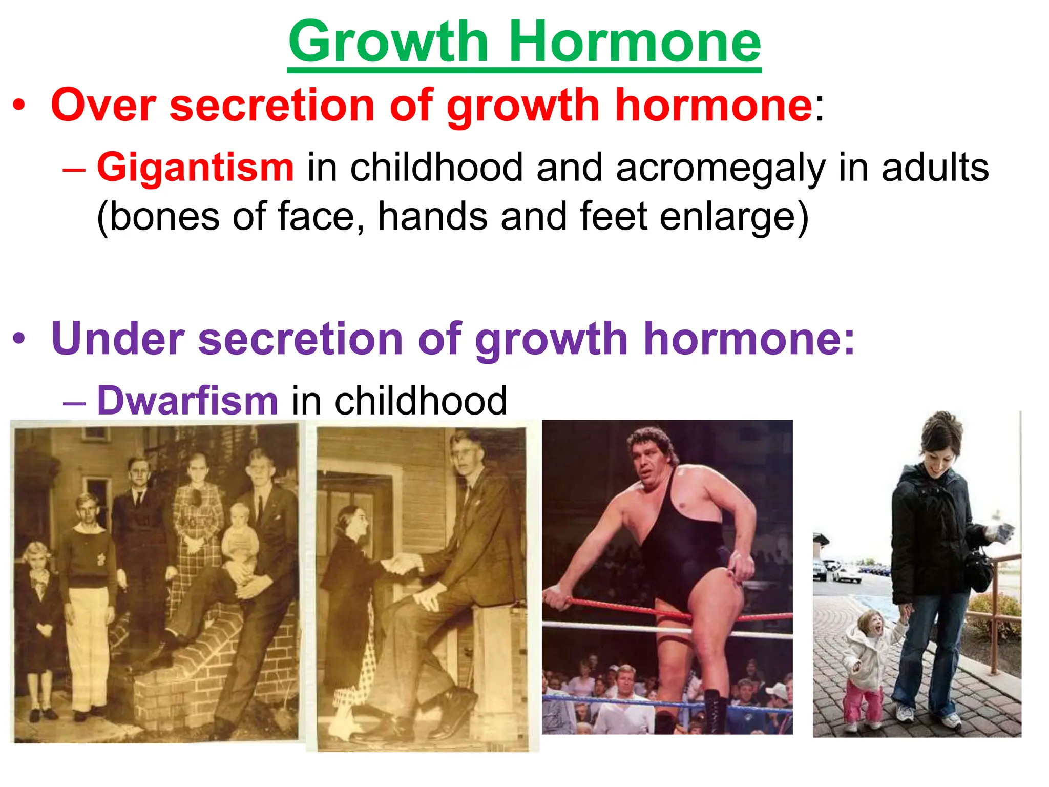 Endocrine about glands and Hormones secretiom | PPT