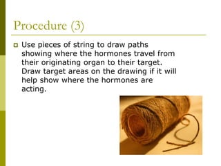 Endocrine-System introduction for grade 10 who is confused.ppt