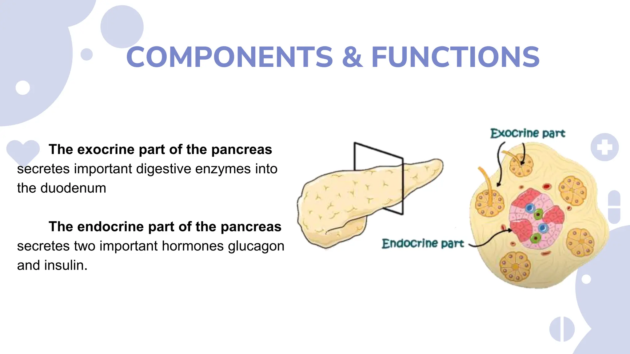 Endocrine-System.pptxxxxxxxxxxxxxxxxxxxxxxxxxx | PPTX